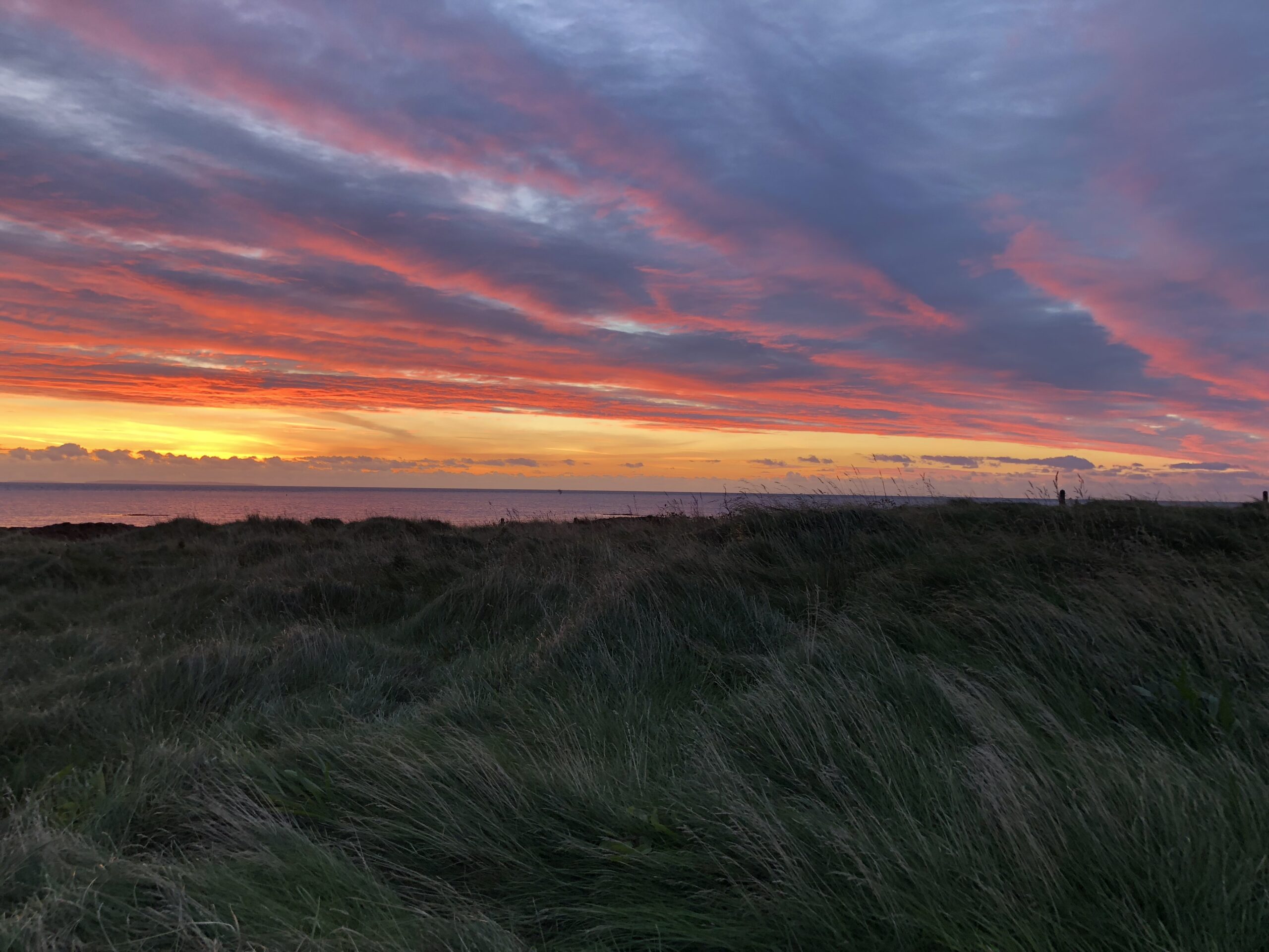 What is Occupational Therapy? – Evolve